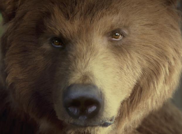 Kids’ snacks brand Bear makes mainstream TV debut | News | The Grocer