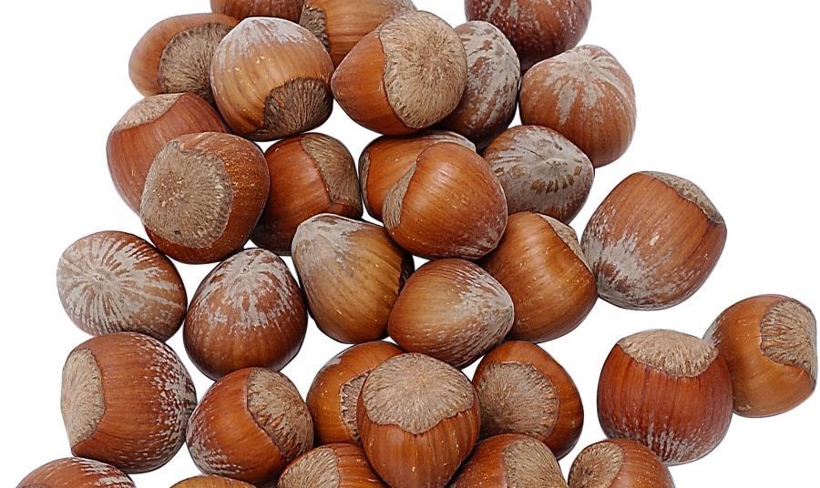 Hazelnut prices already back on rise after fall | News | The Grocer