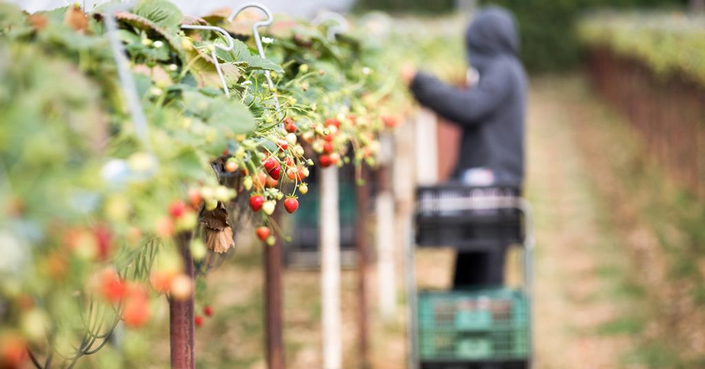 Modern slavery: can tougher rules tackle hidden exploitation ...