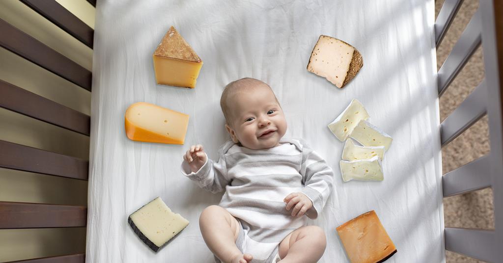 A new breed: The Dairymen Continental cheese category report 2022 ...