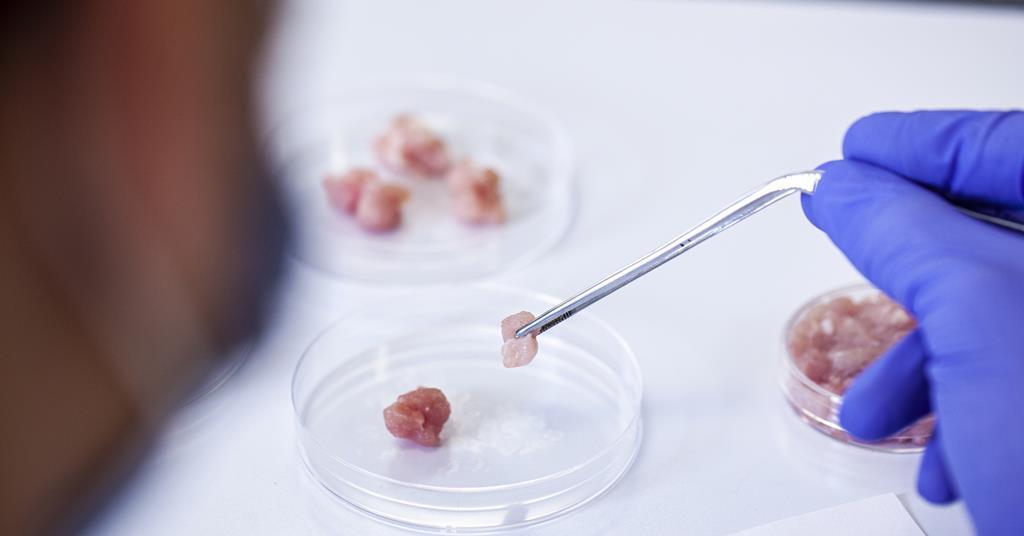 Cell meat is a hard sell. I hope Brits reject it | Comment & Opinion ...
