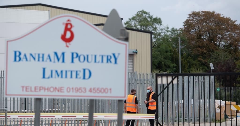 Mounting concerns over poultry sector Covid transmission after Banham ...