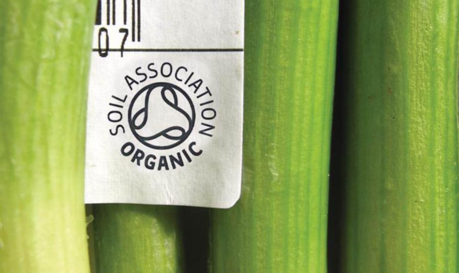 Soil Association teams up with French organic body Ecocert | News | The ...