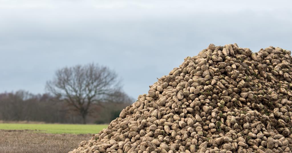 How shops are coping with Britain's bad weather fruit and veg shortages ...