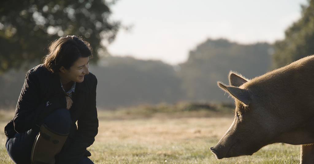 Wilding: Knepp film's inspiring insight into power of nature | The Grocer