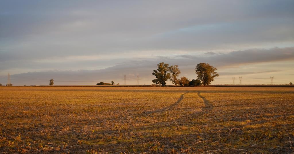 Six endangered foods worth saving | Analysis & Features | The Grocer