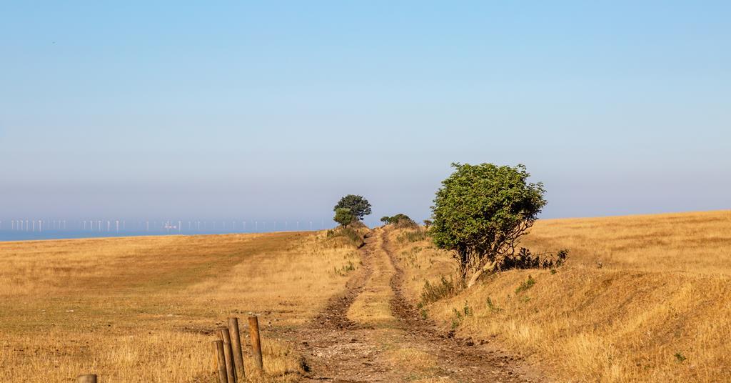 Climate Change Committee warns UK is unprepared for challenges | The Grocer