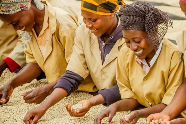 Farmer Connect raises $9m to meet surging supply chain demand | News ...