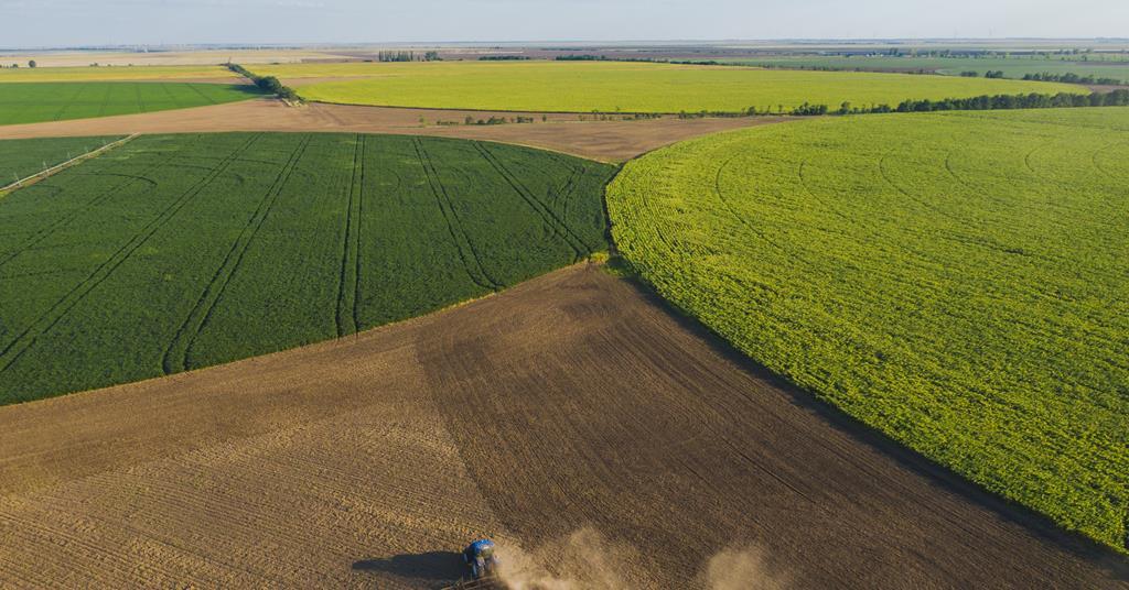 Ukraine needs our trade, not just charitable aid | Comment & Opinion ...