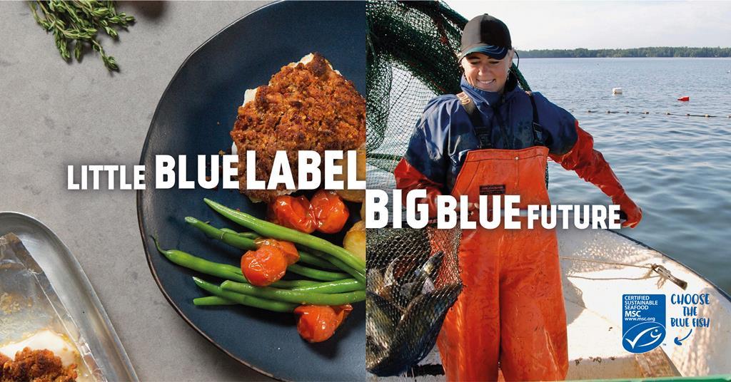 MSC unveils revamped rules for its fishing standard | News | The Grocer