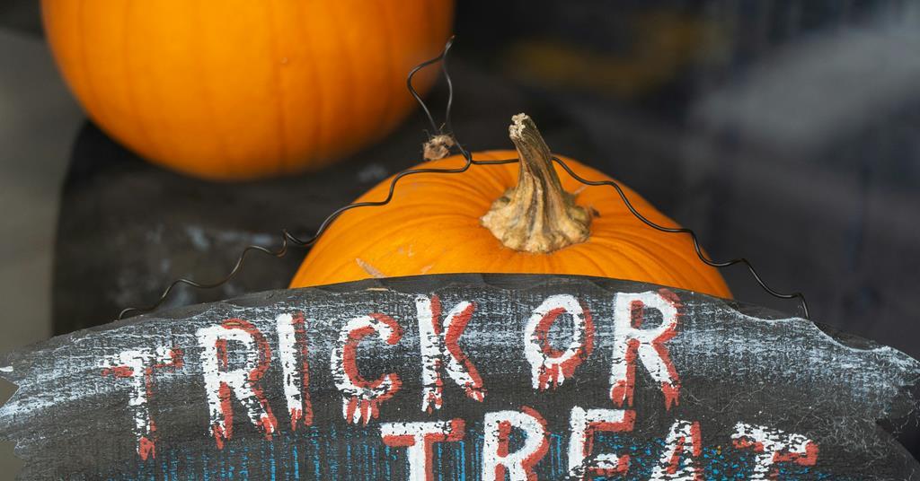 Focus On Halloween: 27 July | Feature Synopsis | The Grocer