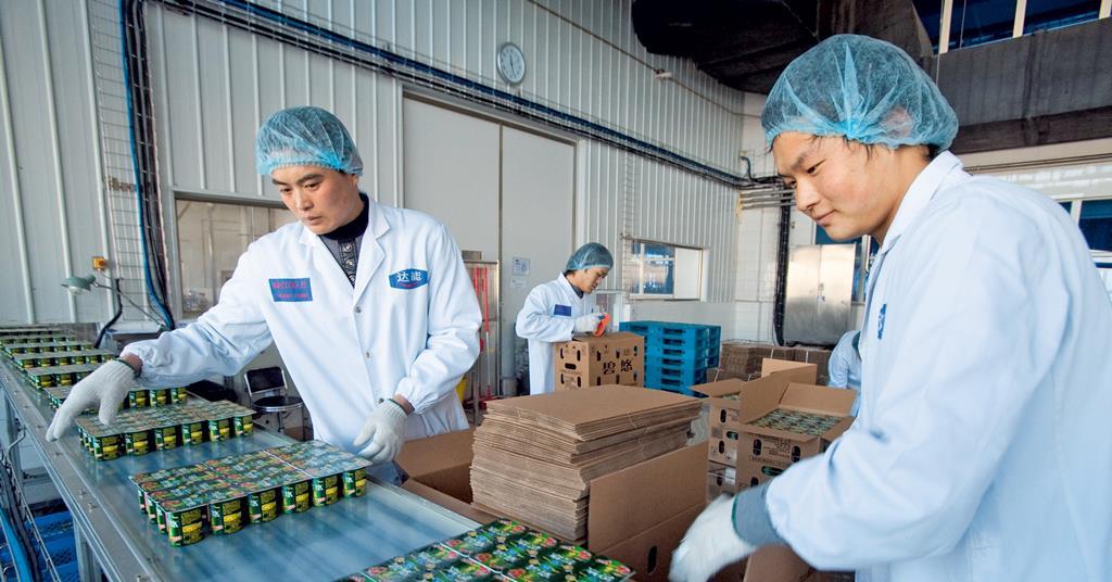 Danone ups stake in China's largest dairy business | News | The Grocer