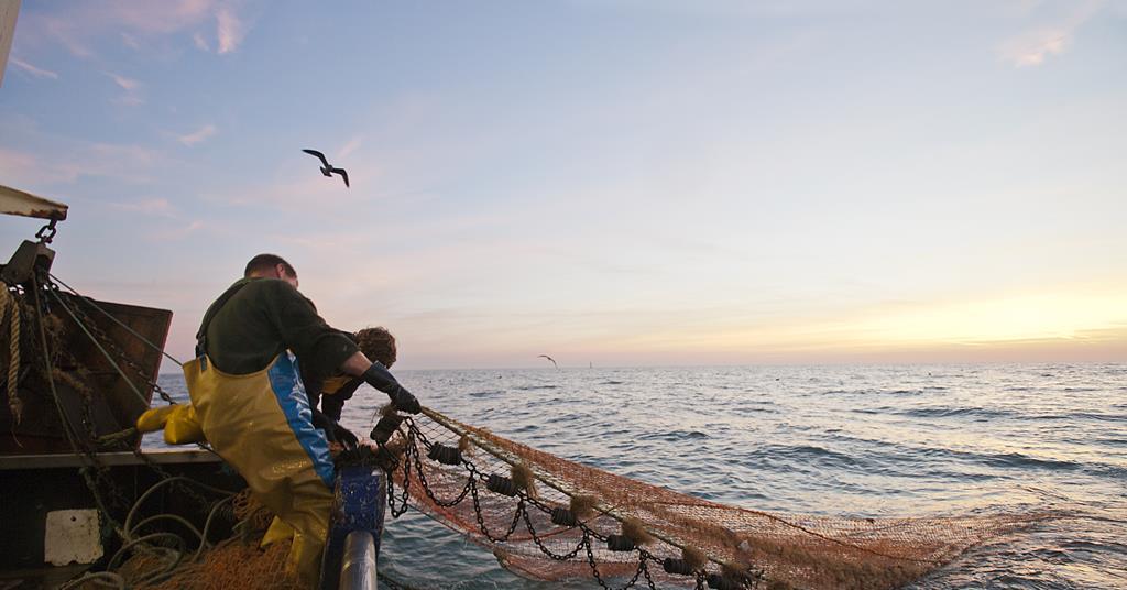 Waitrose rolls out SCEPT tracking across seafood supply chain | The Grocer