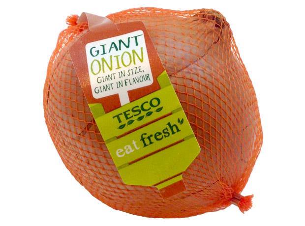 Tesco’s Giant Onion rolls into stores | News | The Grocer