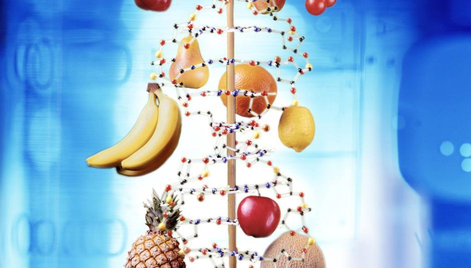 Should DNA dictate our diet? | Analysis & Features | The Grocer