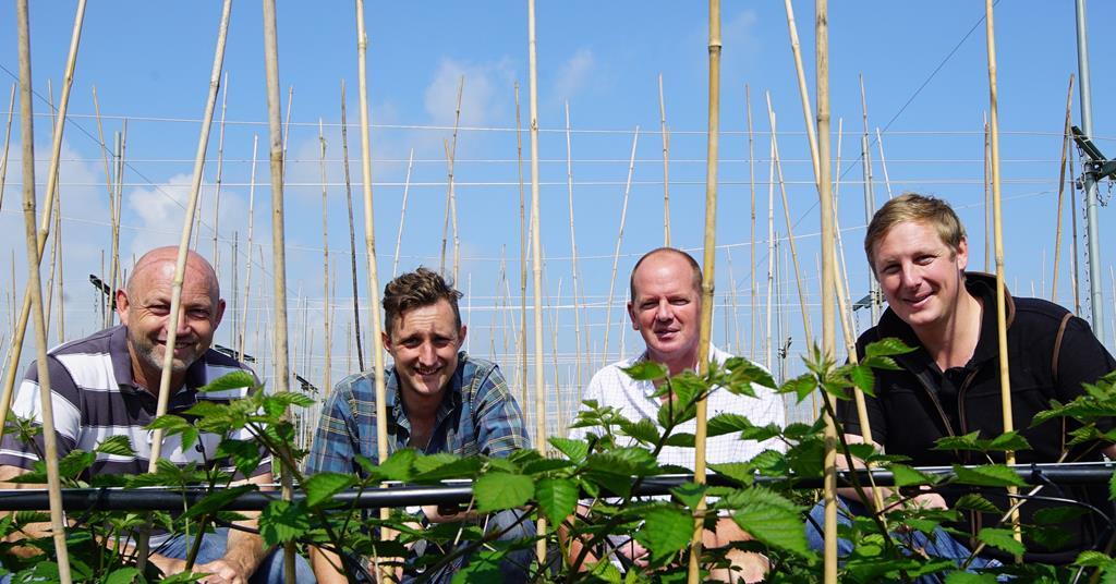 Clock House Farm launches new propagation business | News | The Grocer