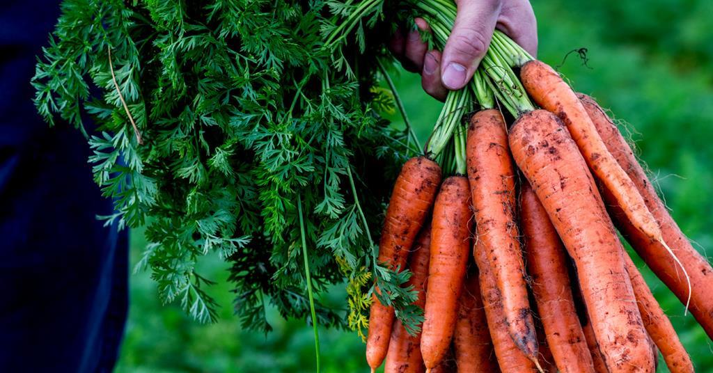 Tesco grants Leaf marque certification to all UK growers | News | The ...