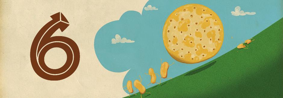 Savoury biscuits are on a roll with sales up 6.9% | Analysis & Features ...
