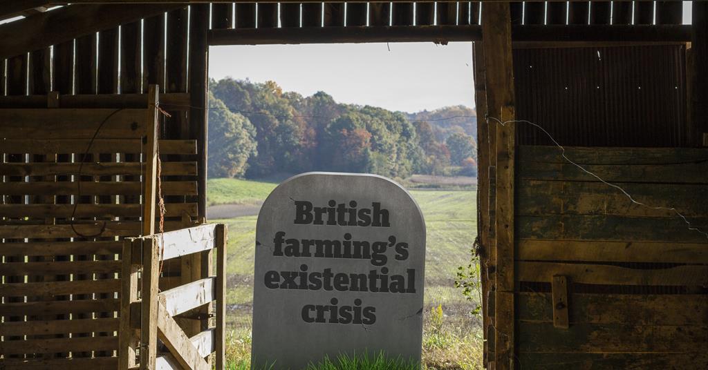 Is British farming facing an existential crisis? | Analysis & Features ...