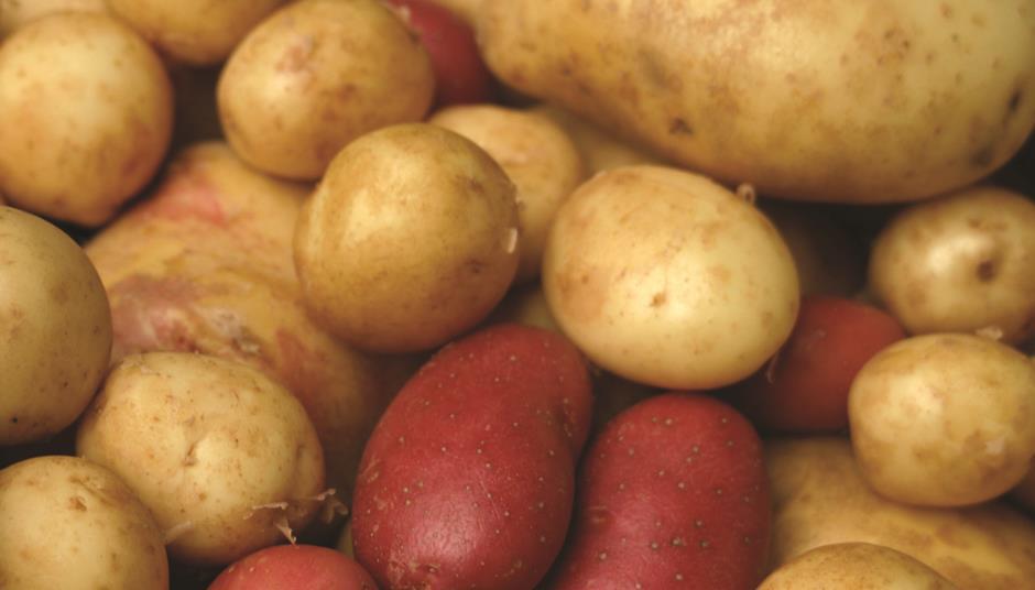 Kent Potato Company to be closed by Produce Investments | News | The Grocer