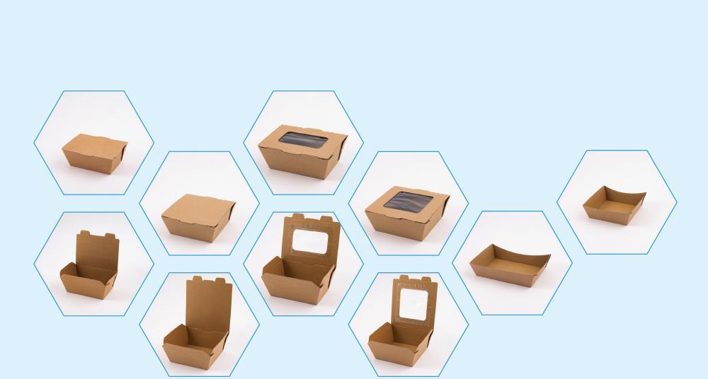 Recyclable cardboard packaging provides sustainable and functional ...