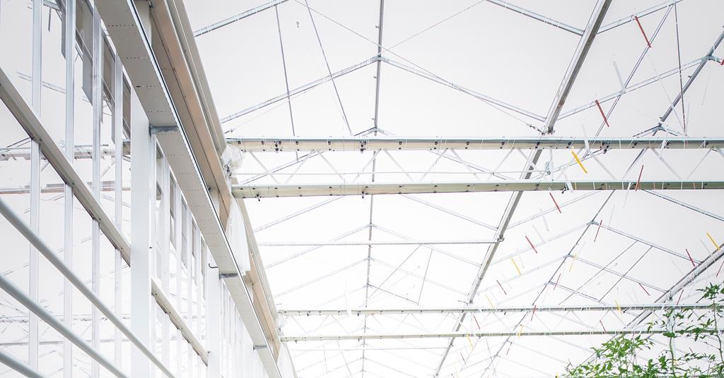 Explained: How new energy support works and who’s eligible? | Analysis ...