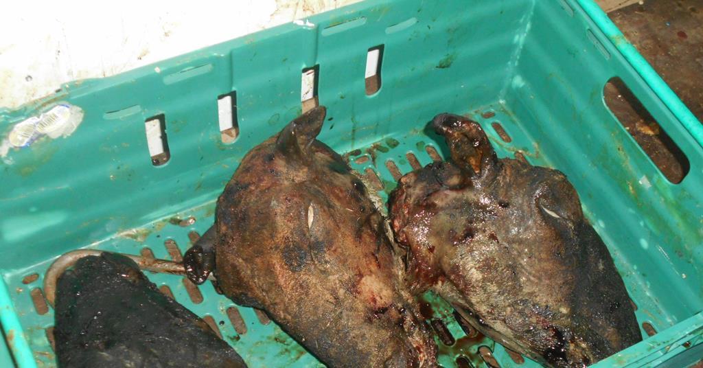 Illegal meat business convicted of ‘serious food crimes' | The Grocer
