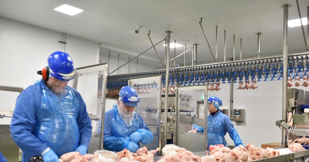 Poultry giant Avara Foods hails progress of emission reductions | News ...