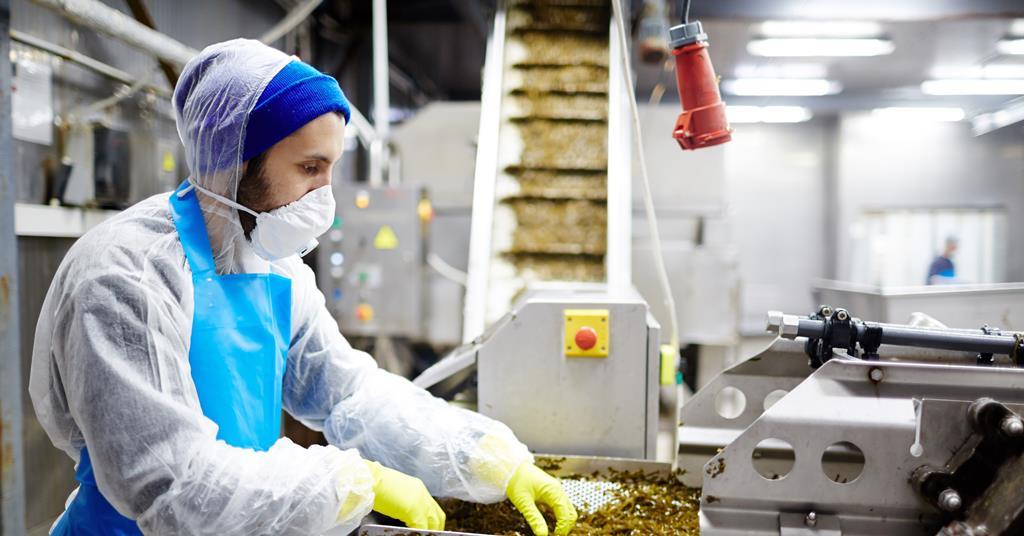 Half of food sector’s workers want better training on sustainability ...