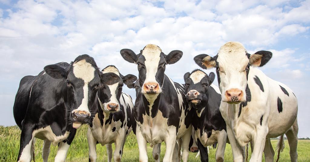 Dairy inflation: could the category become a luxury in the UK ...