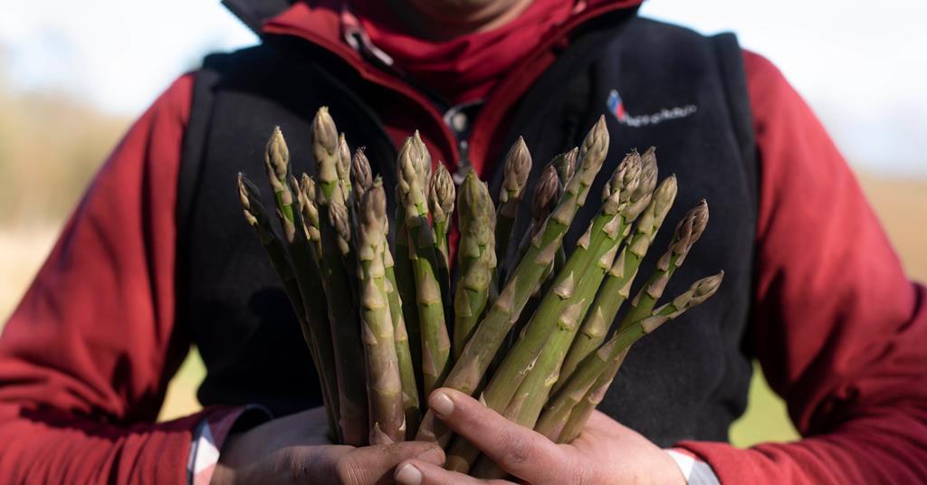 Waitrose announces start of early British asparagus season | News | The ...
