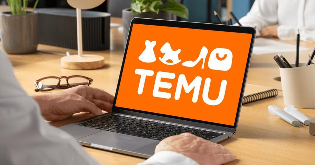 Temu: how long can brands ignore cut-price Chinese marketplace ...