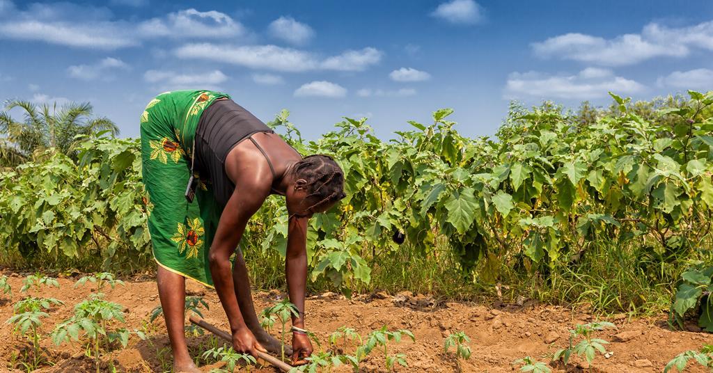 A fair future? Fairtrade category report 2020 | Category Report | The ...