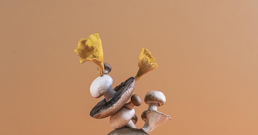 Is a shroom boom due in functional foods? Functional category report ...