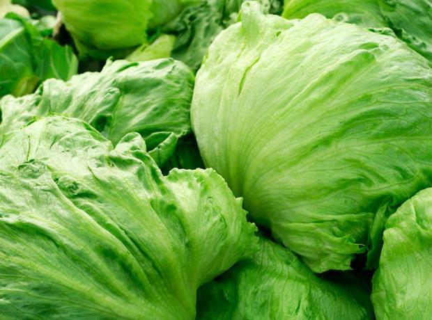 Tesco and Morrisons ration lettuces to ensure availability | News | The ...