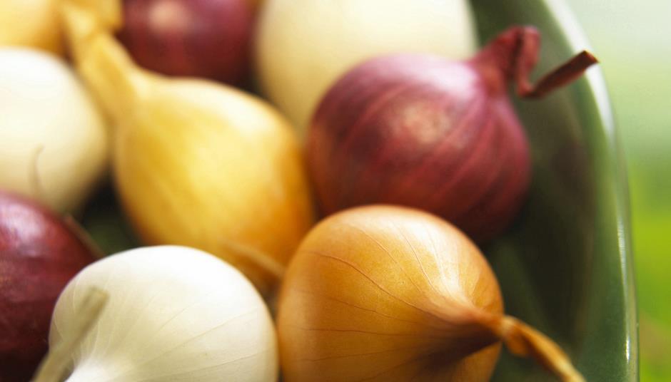 Onion prices up 60% on supply shortfall | News | The Grocer