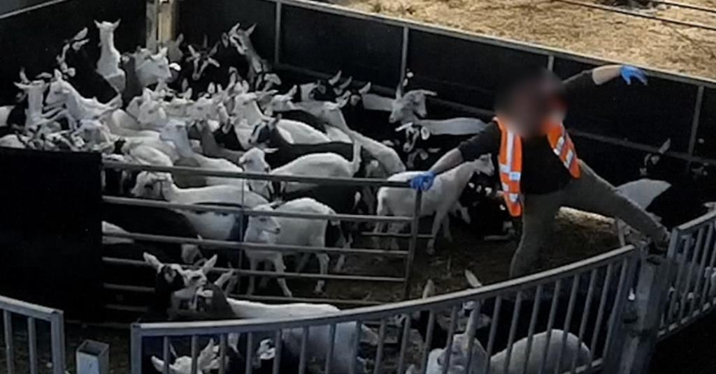 St Helen’s Farm halts milk supply over alleged animal welfare breaches ...