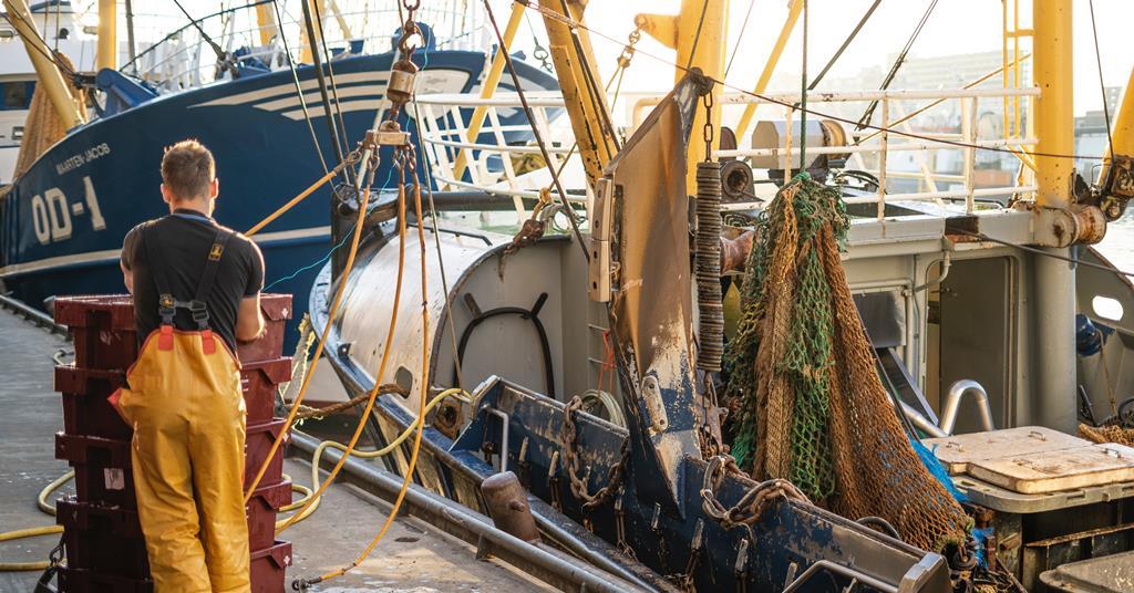 New fishing industry apprenticeship scheme unveiled to tackle ‘ageing ...
