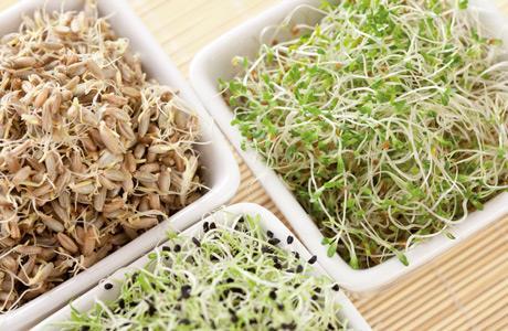 New guidelines for the sprouted seed industry | News | The Grocer