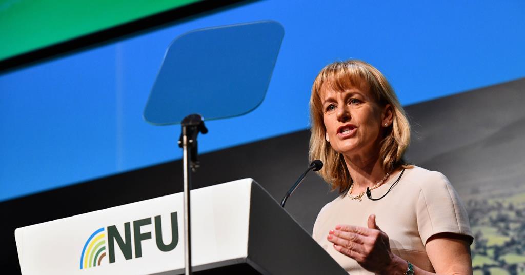 Minette Batters transformed the NFU into a fearsome fighting force ...