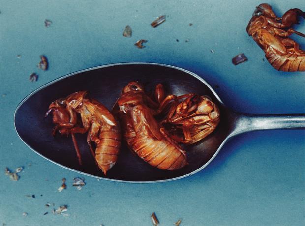 Lovely grub? You'd better believe it | Analysis & Features | The Grocer