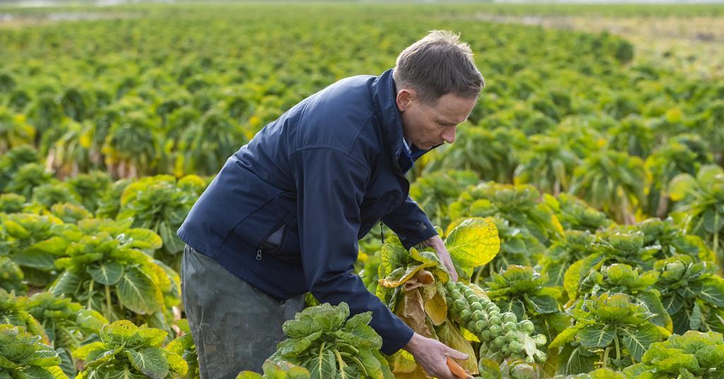 Waitrose trials donating surplus food directly from suppliers to ...