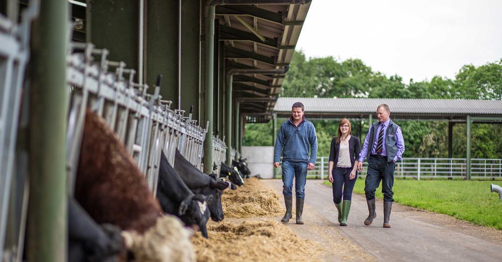 Morrisons, NFU and McDonald’s partner with Harper Adams for new ...