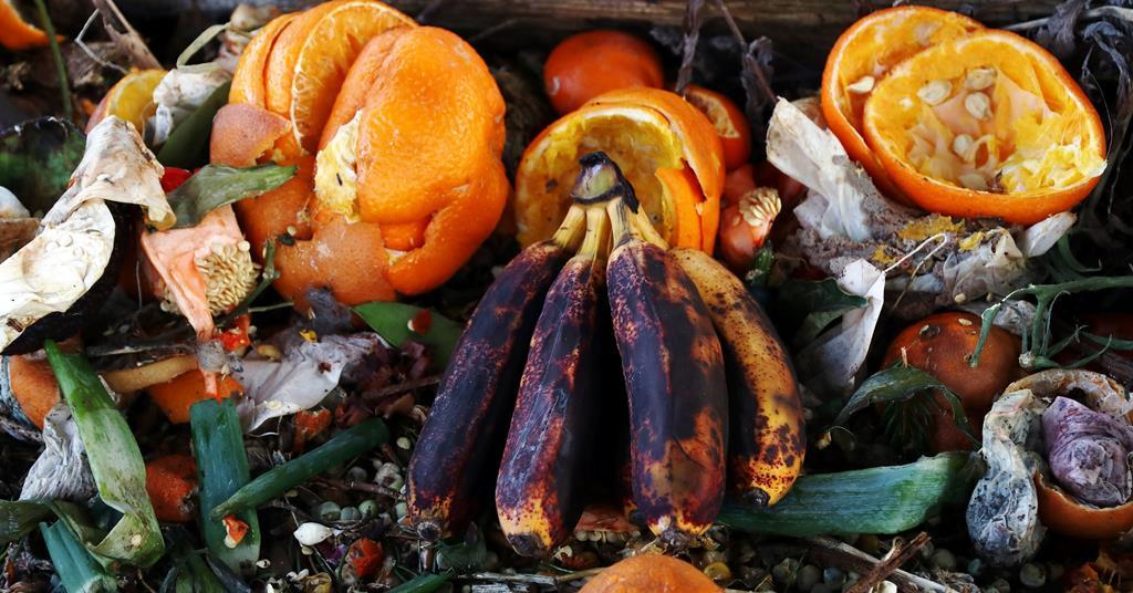 Déjà vu Defra churns up food waste consultation yet again | The Grocer