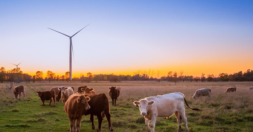 What does government’s NFS response mean for future food policy ...