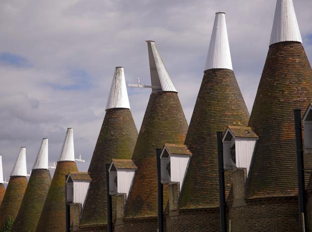 East Kent hops win protected name status | News | The Grocer