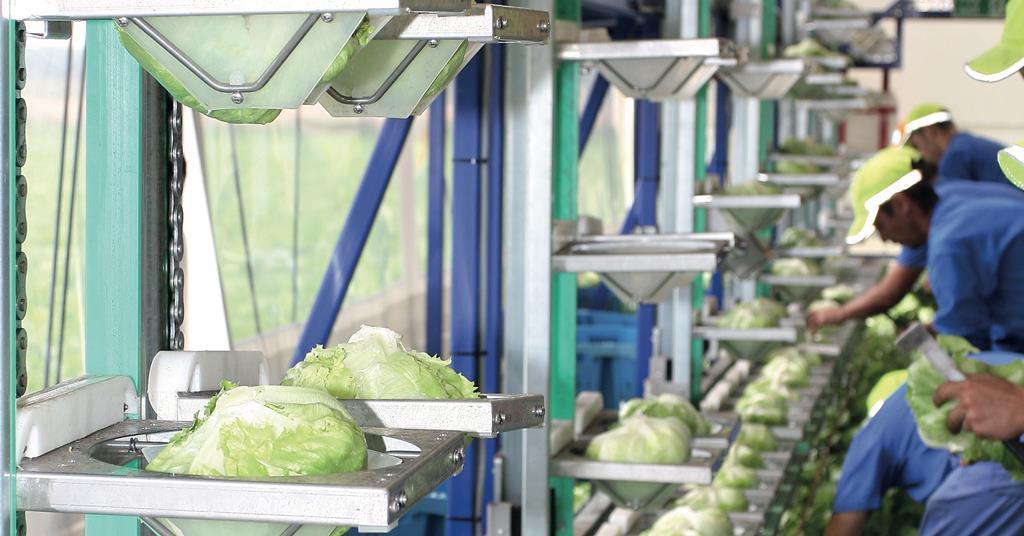 How Tesco works with suppliers | Promotional Features | The Grocer