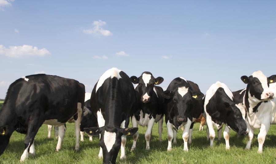 Müller confirms plan to close East Kilbride and Aberdeen dairies | News ...