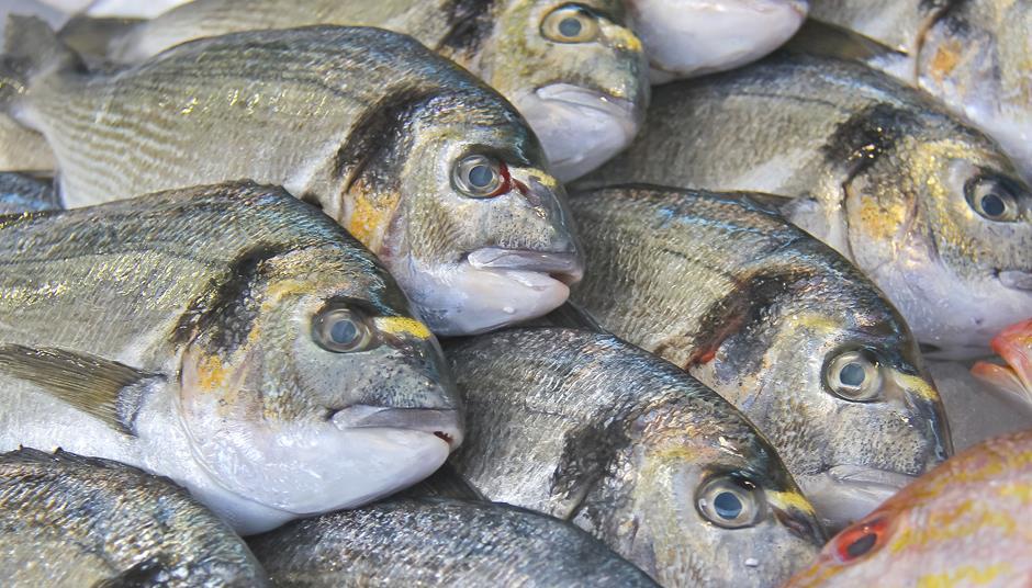 Shoppers still worried about fish fraud, survey finds | News | The Grocer