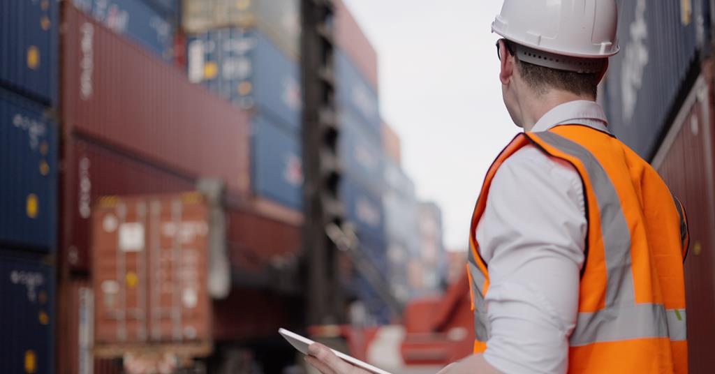 Post-Brexit border checks on food imports delayed again | News | The Grocer